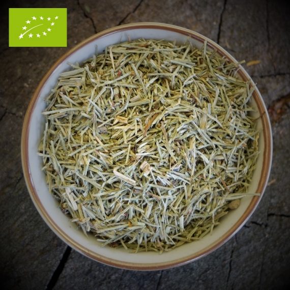 BIO Heermoes - Equisetum arvense* - LOF der kruiden